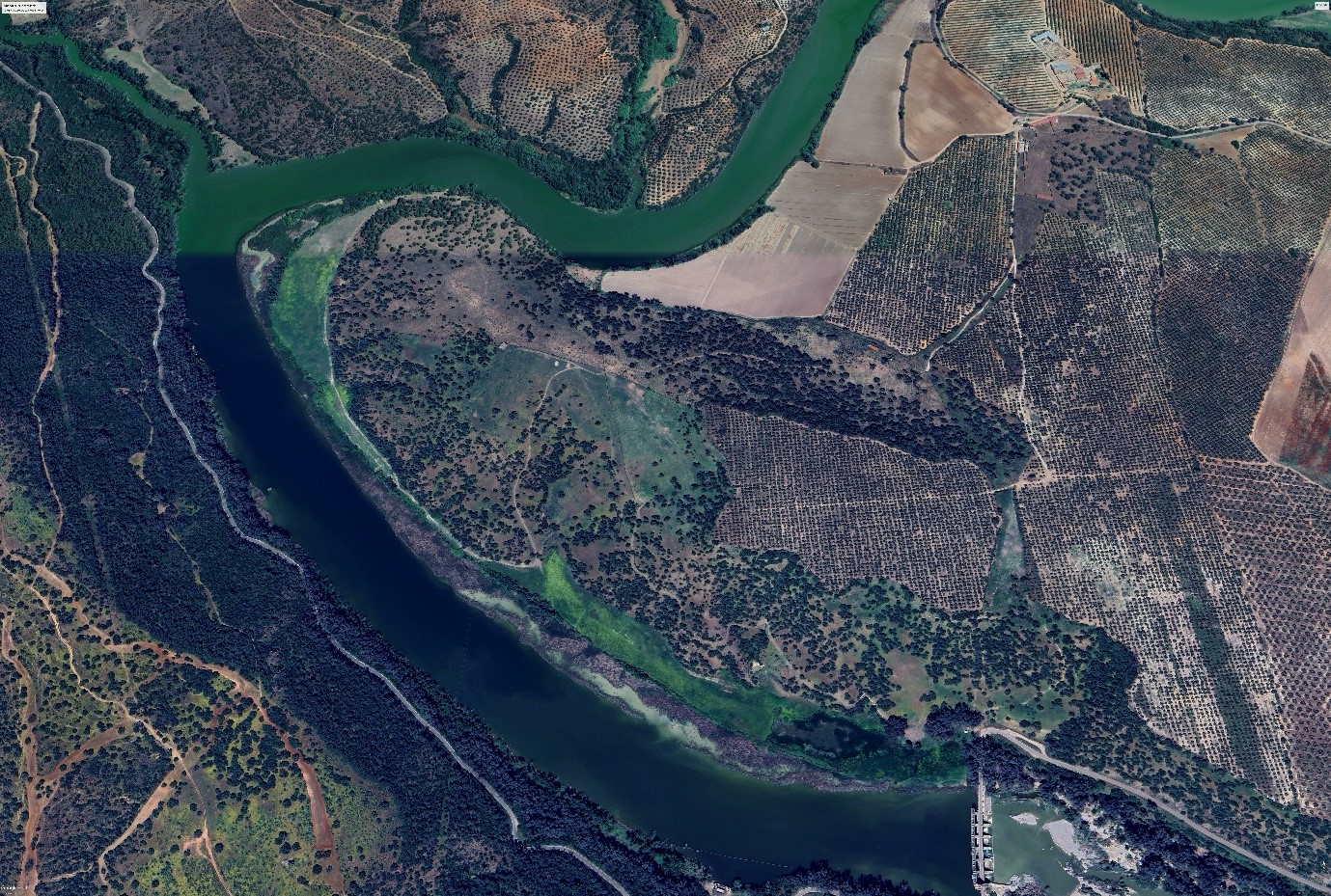 Bienvenido a tu blog de Recreación Histórica